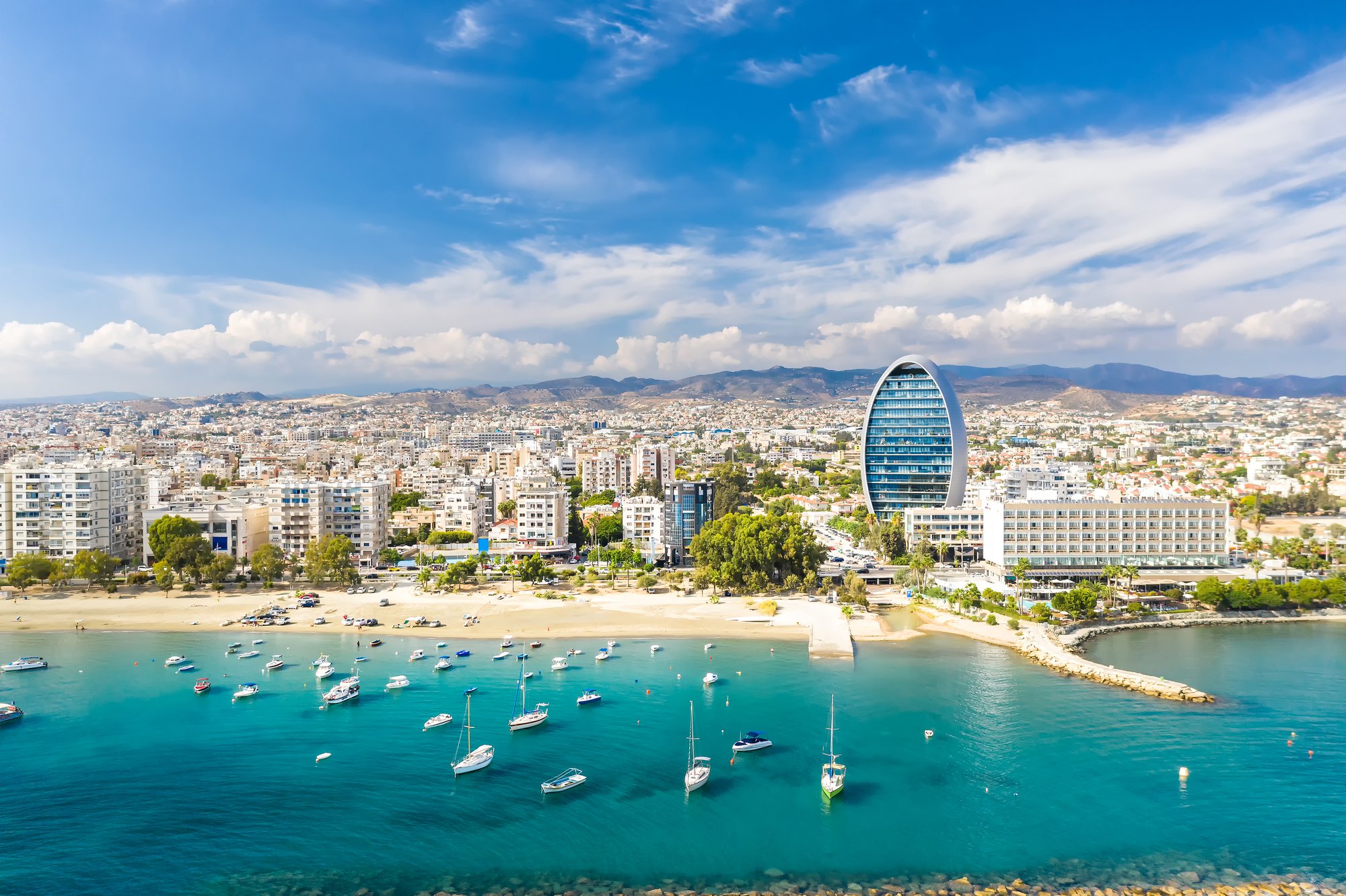 Flower Shops in Limassol, Cyprus | Delivery, Bouquets & Occasions